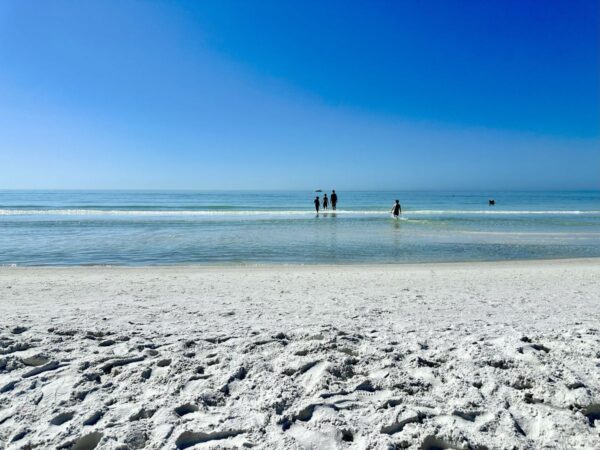 Does Florida Tax Retirement Income? Your Complete Guide to Retiring in ...